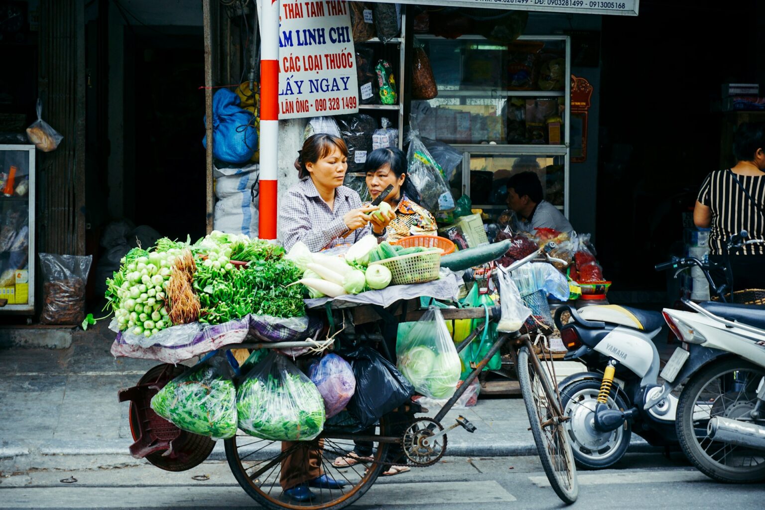 Vietnam Travel Vaccinations: Australian Guide
